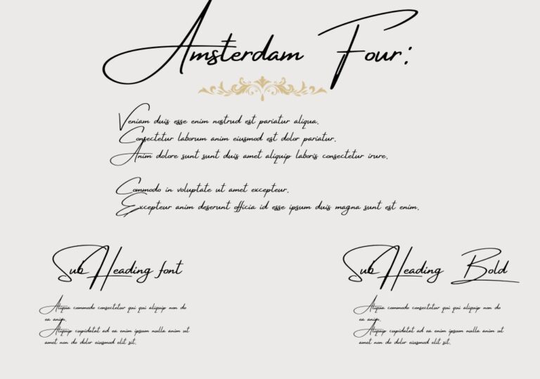 12 Modern Canva Fonts - must use in your design - Turnit Studio