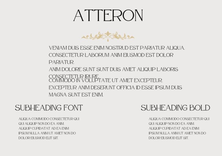 12 Modern Canva Fonts - must use in your design - Turnit Studio