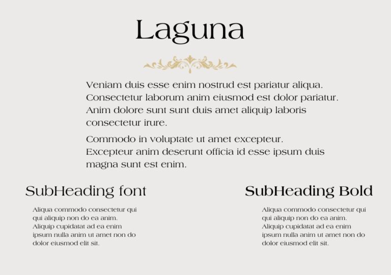 12 Modern Canva Fonts - must use in your design - Turnit Studio