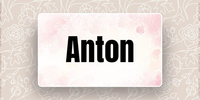 Best Fonts for Memes on canva: A top 12 Selections - Turnit Studio